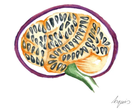 PASSIAN: Piloting A Secure, Scaleable Infrastructure for AI in the NHS | UCL POND Research Group